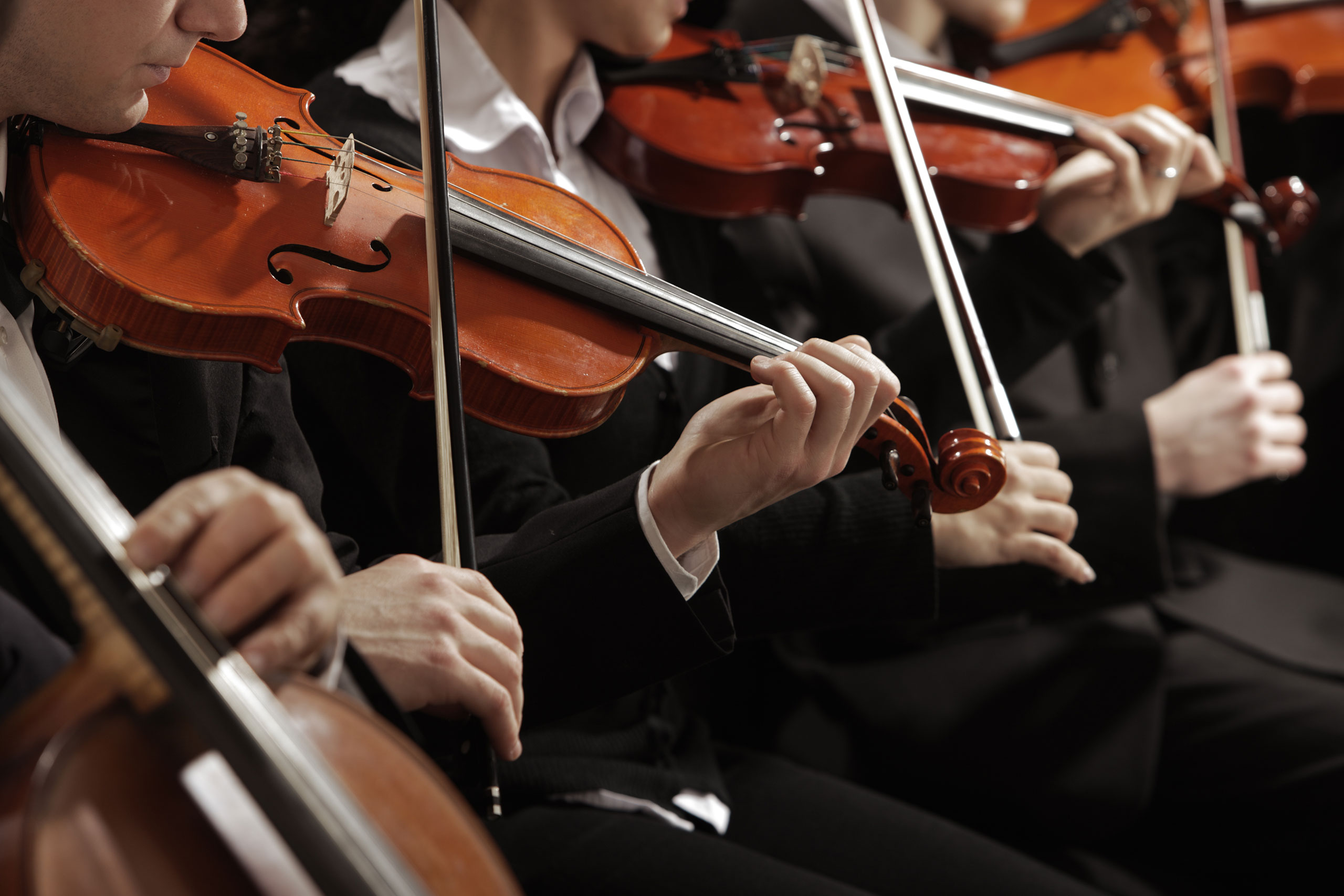 Virtuosi Series: Beethoven Piano Trio | Discover Jersey Arts