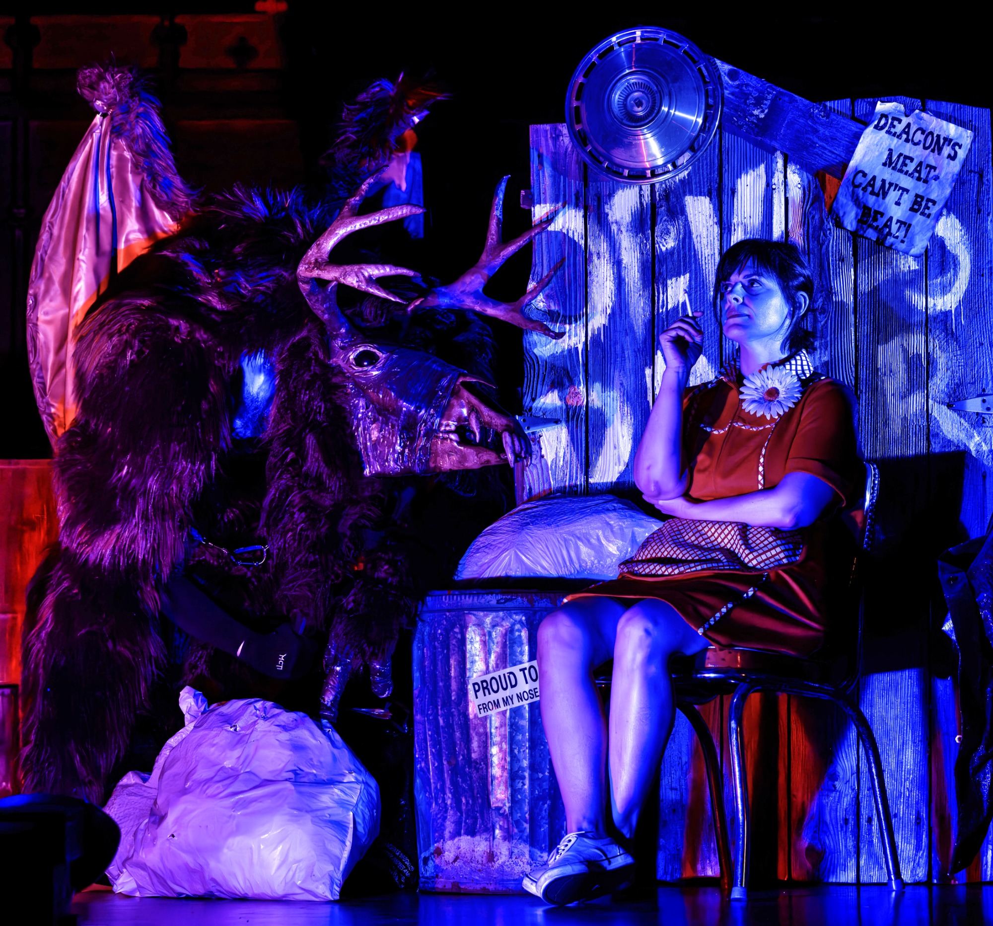 Sympathy for The Devil & Daisy Dirt at the Arts Council of Princeton ...