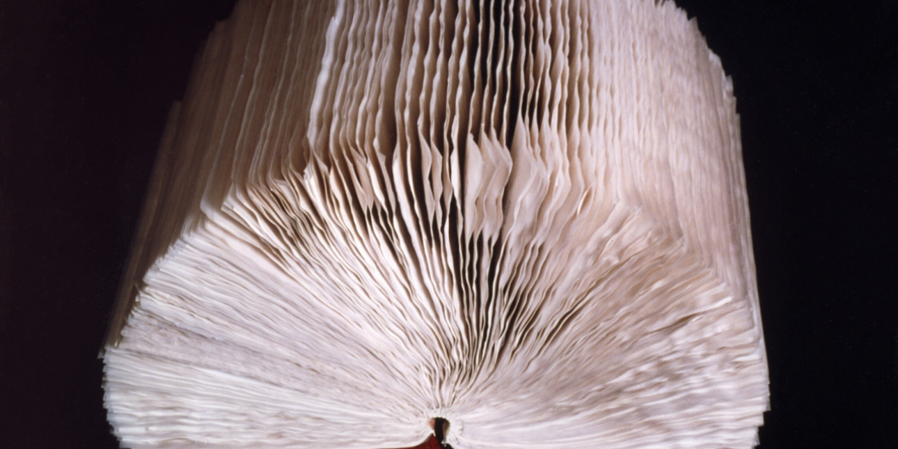 Pioneering Feminist Helène Aylon Gets Her Due at Princeton University ...