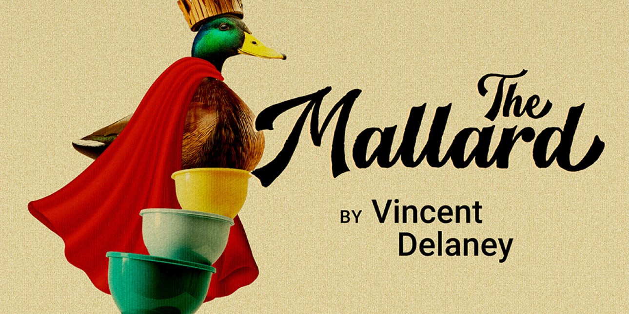 Celebrating 20 Seasons of Premiere Stages with Original Play 'The ...